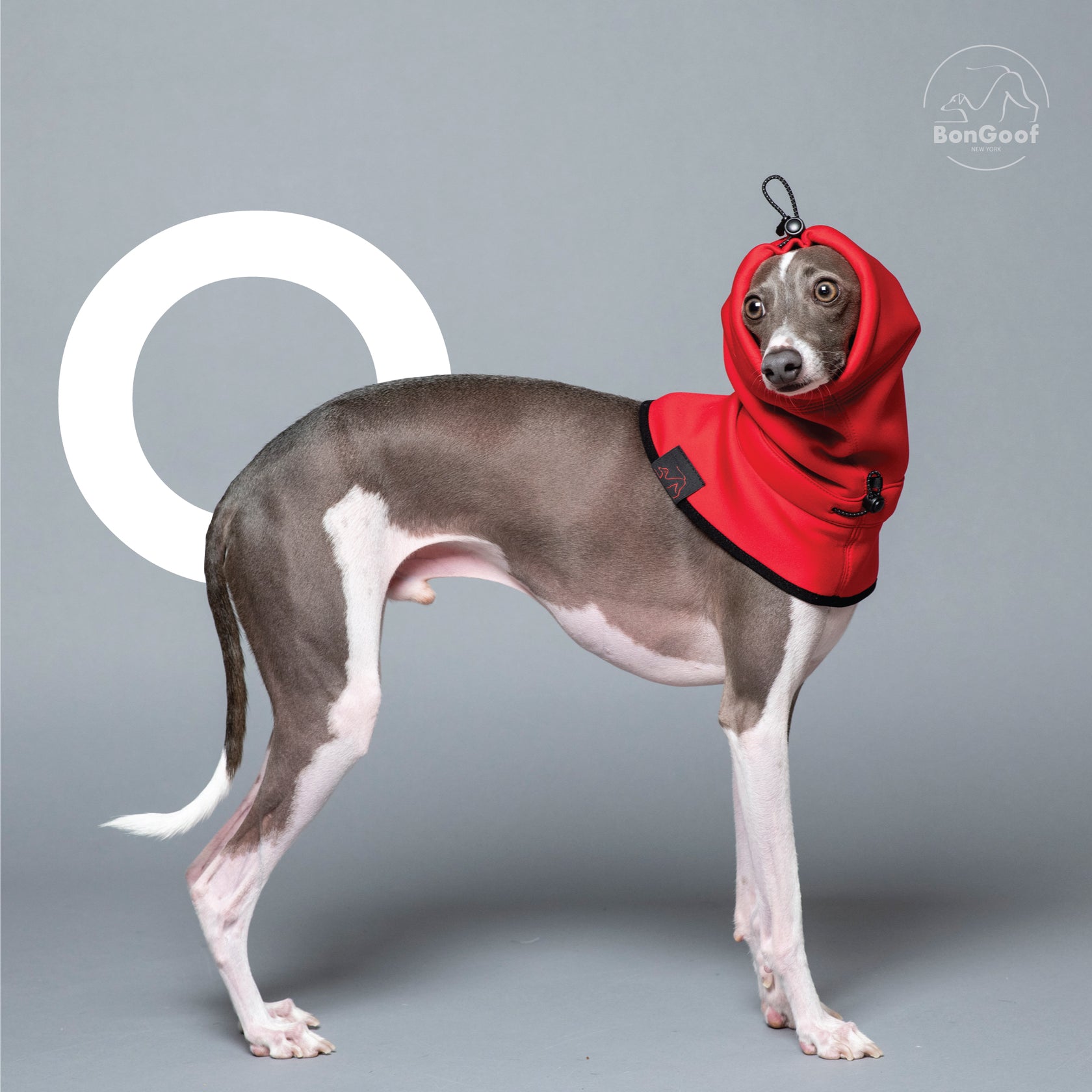 SNUDDLE – BonGoof